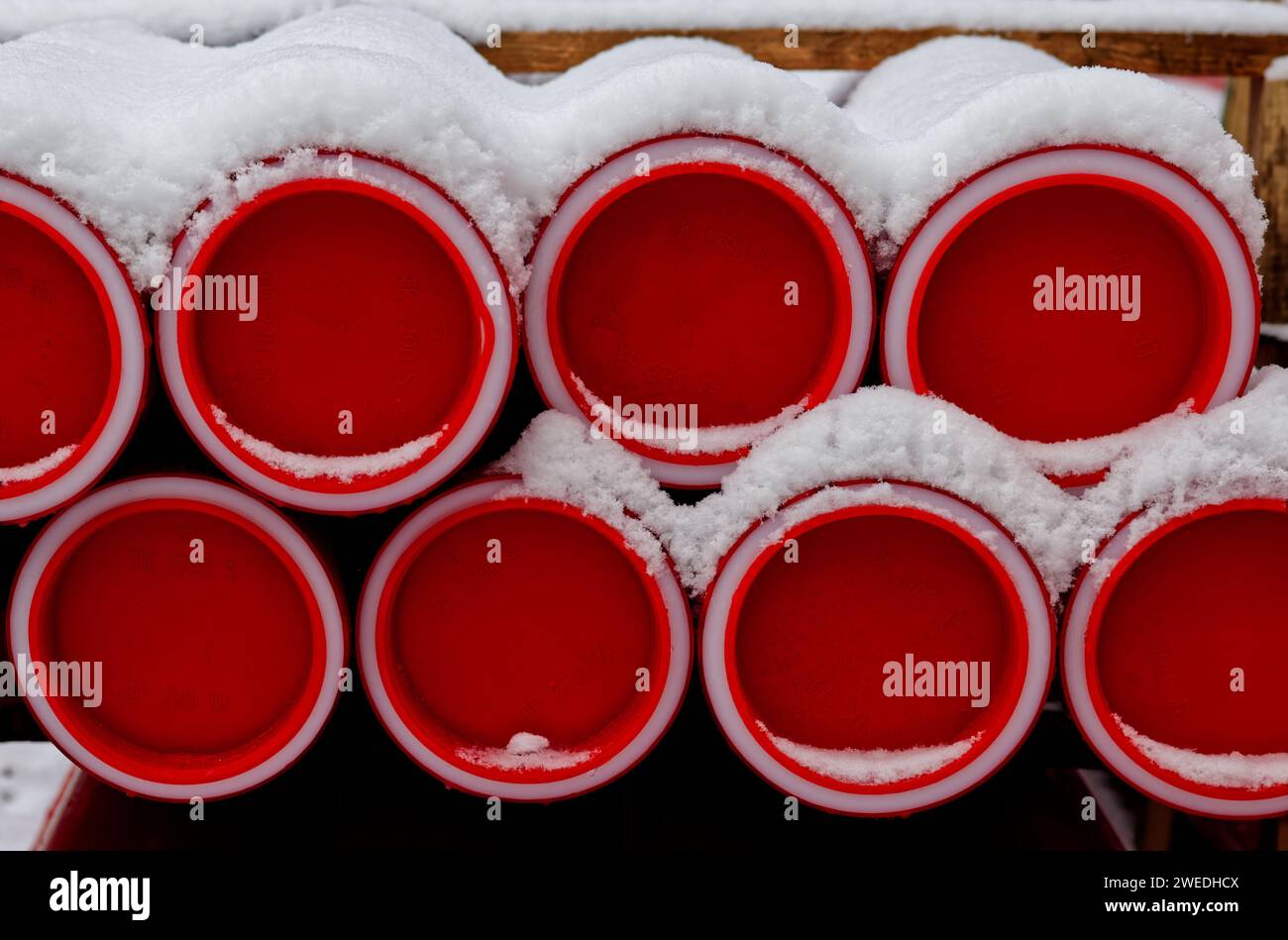 Endocarps hi-res stock photography and images - Alamy