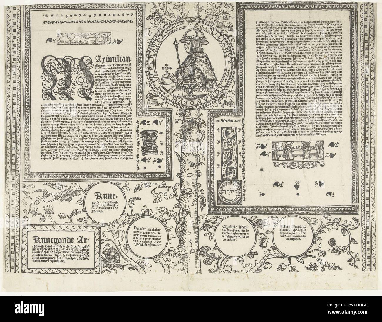 Family tree of the Habsburg house, page fifteen, Robert Péril, 1533 ...
