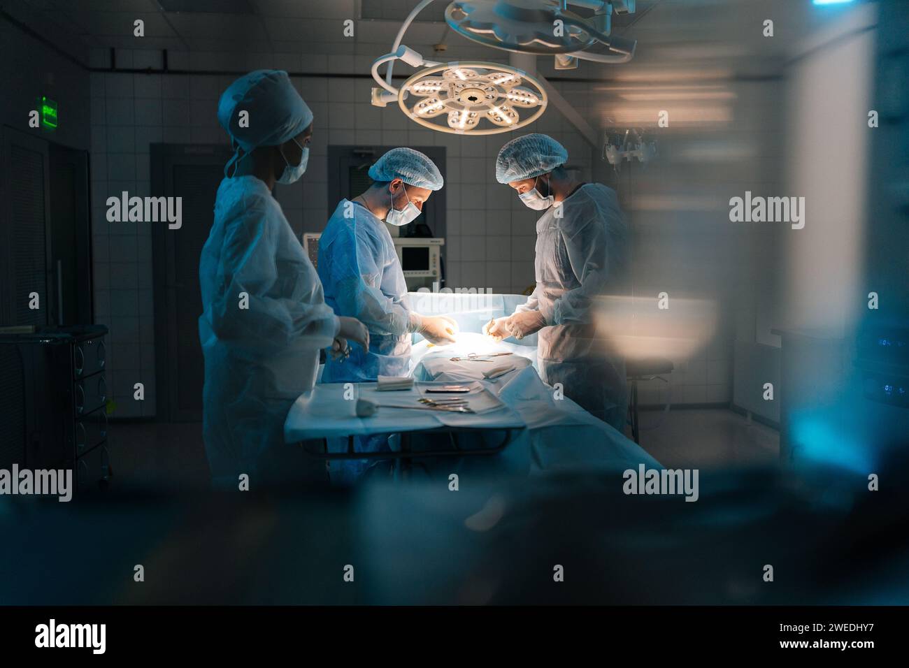 Remote portrait of diverse cooperating team of doctors, surgeons and ...