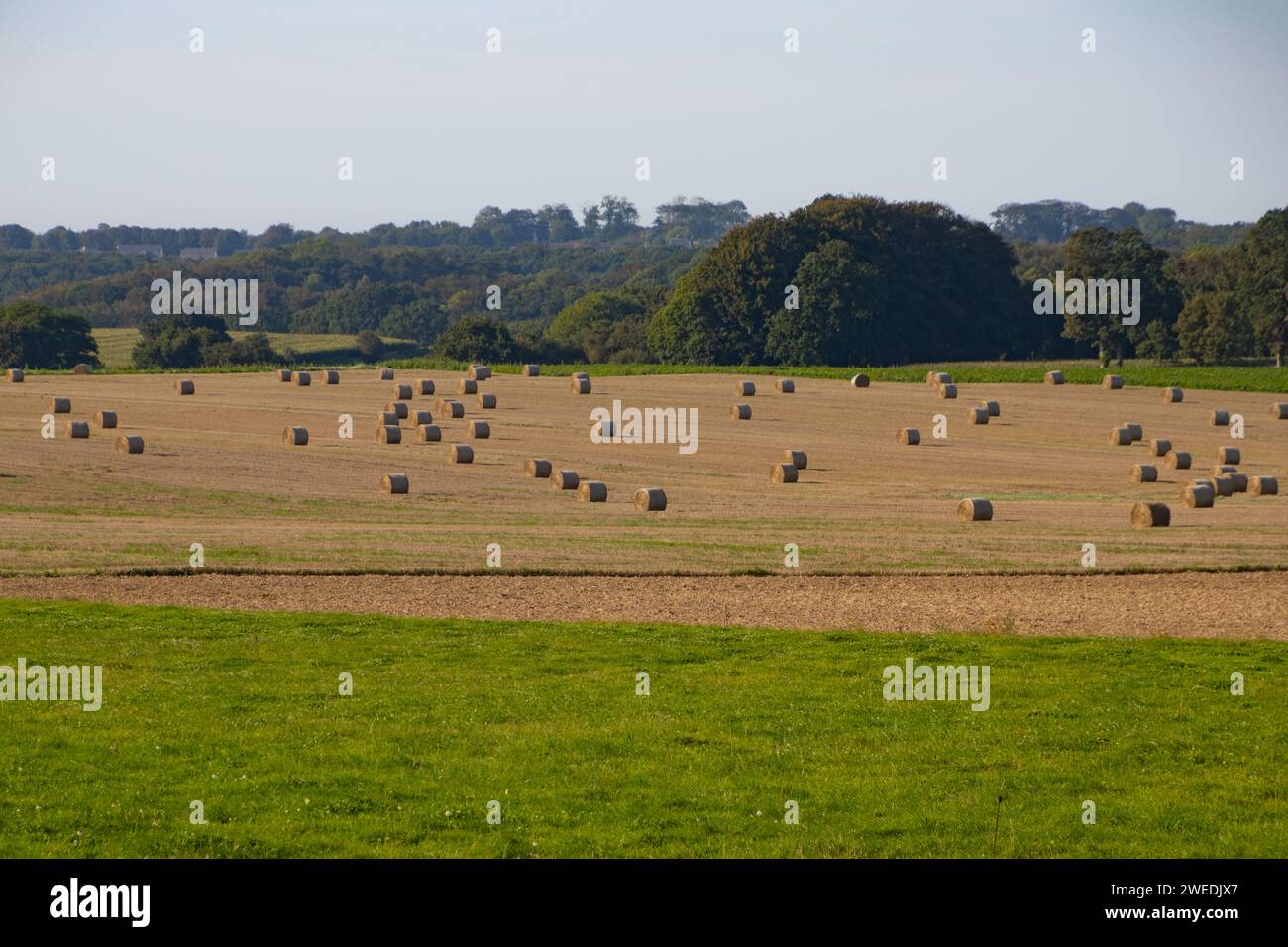 Hay stack on stubble wheat hi-res stock photography and images - Alamy