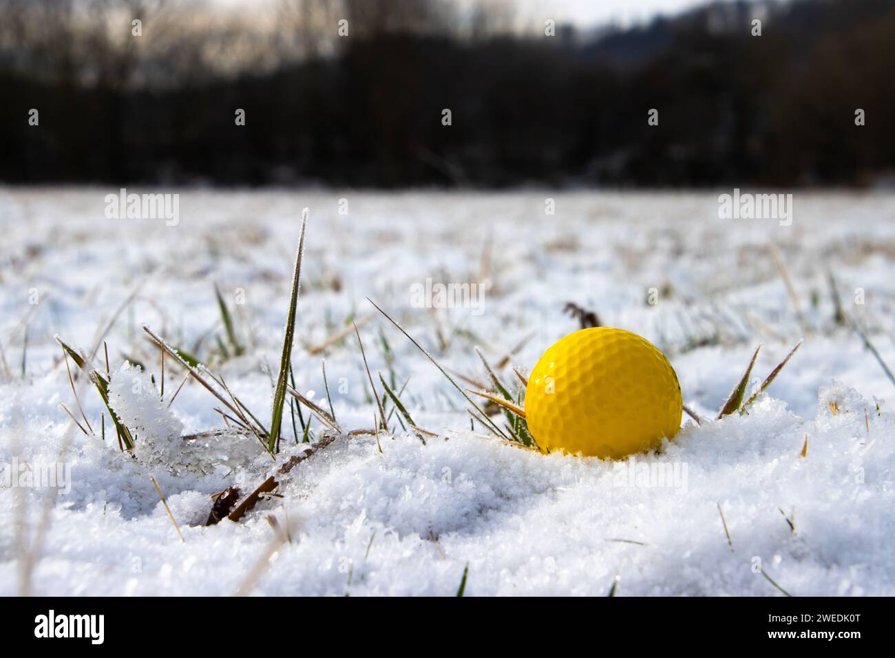 Ice ball lie hi-res stock photography and images - Alamy