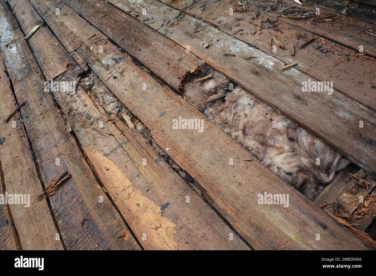 An old roof replacement and renovation. A close-up of rotten wood, bad ...