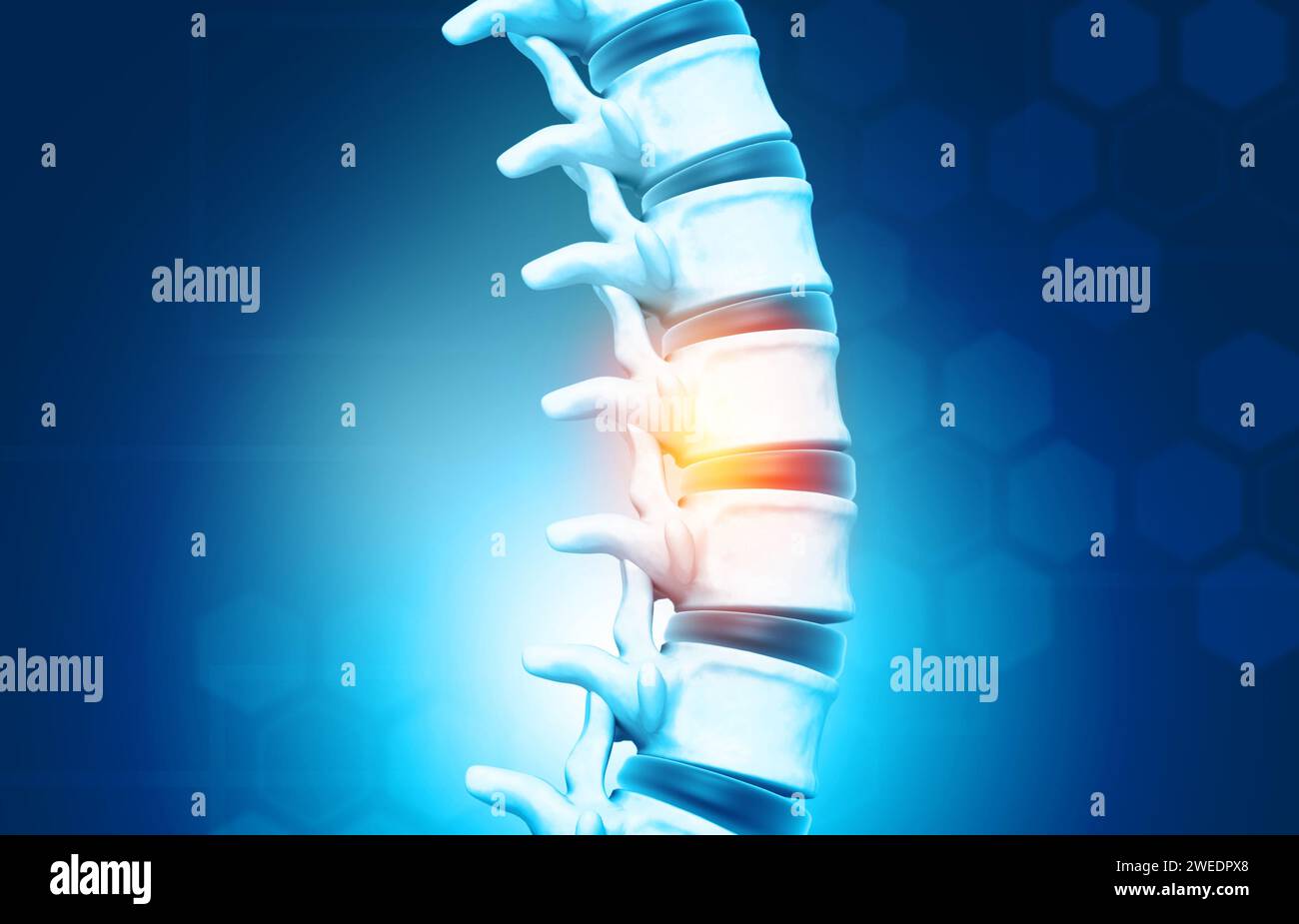 Human spine, vertebrae anatomy on science background. 3d illustration ...