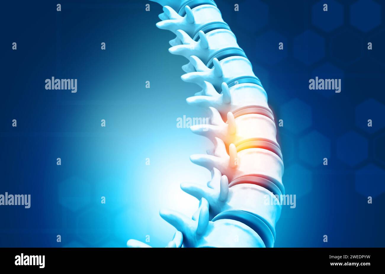 Human spine, vertebrae anatomy on science background. 3d illustration ...