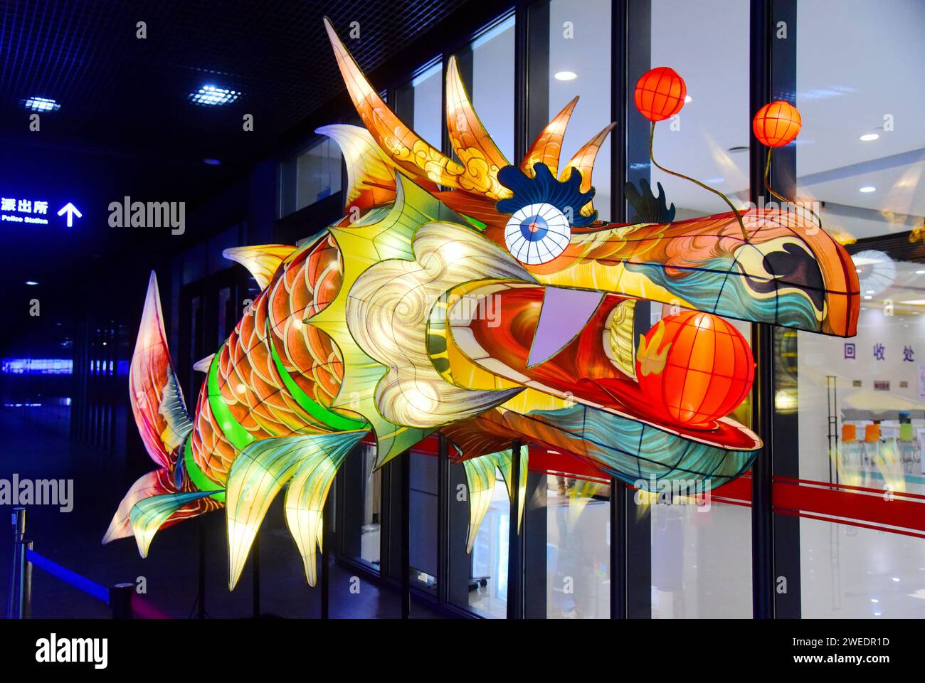 A giant festive lantern with a dragon head and fish body makes its ...