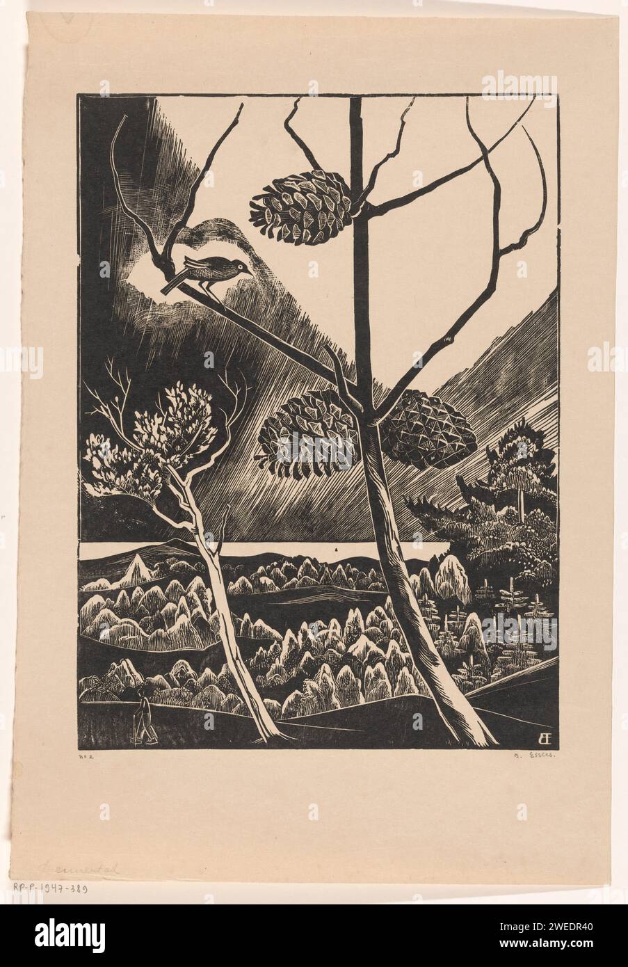 Dennenkak, Bernard Essers, c. 1932 print A bird on a branch with pine ...