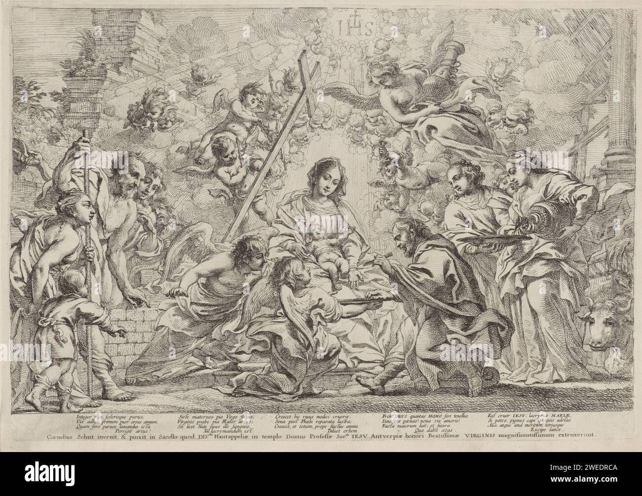 Circumcision tools hi-res stock photography and images - Alamy