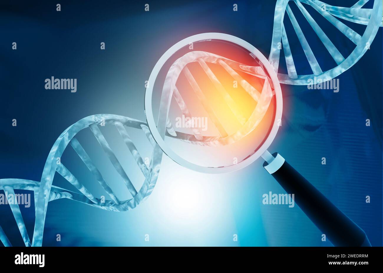 Dna strands with magnifying glass hi-res stock photography and images ...