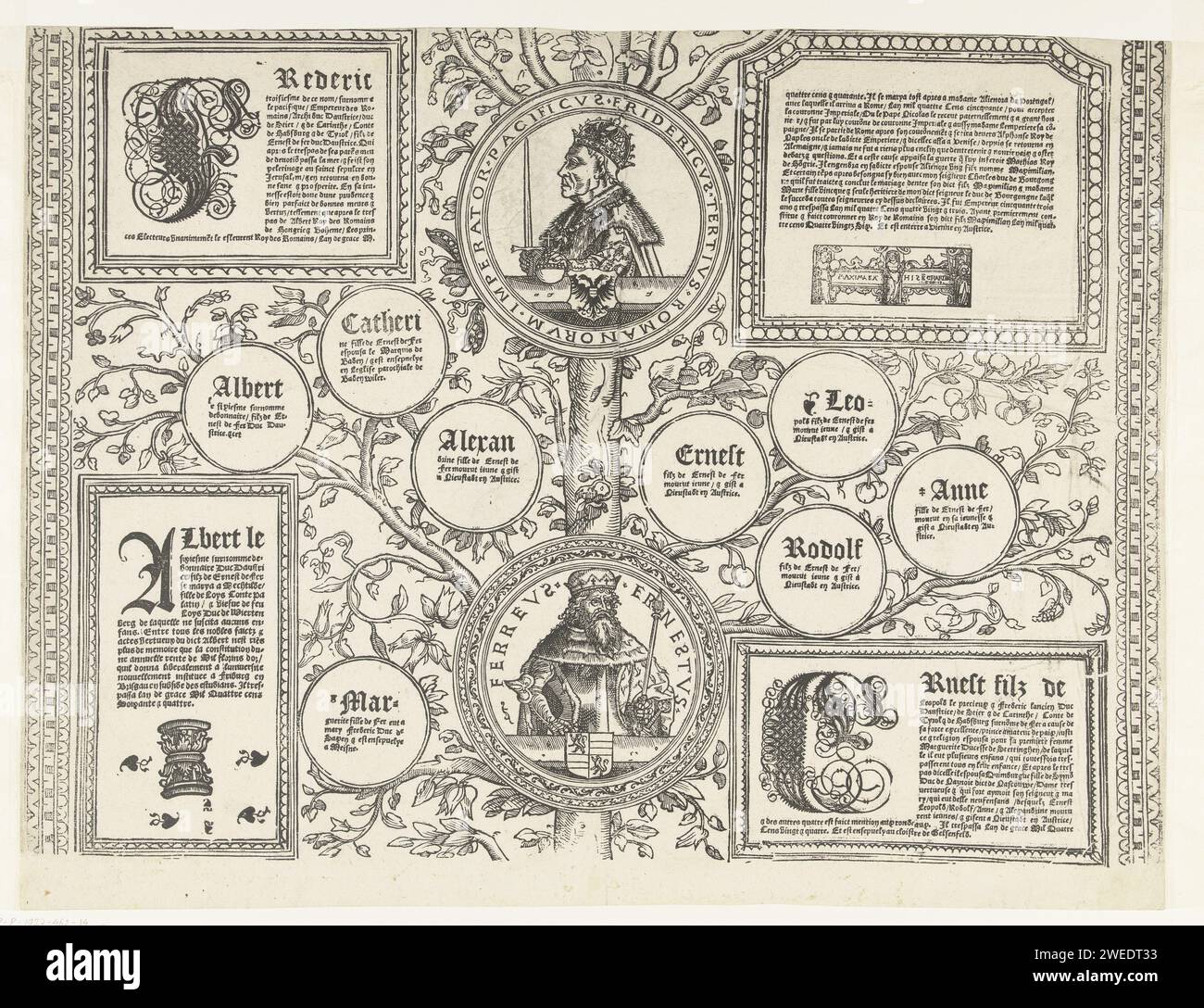 Family tree of the Habsburg house, Fourteen, Robert Péril, 1533 - 1535 ...