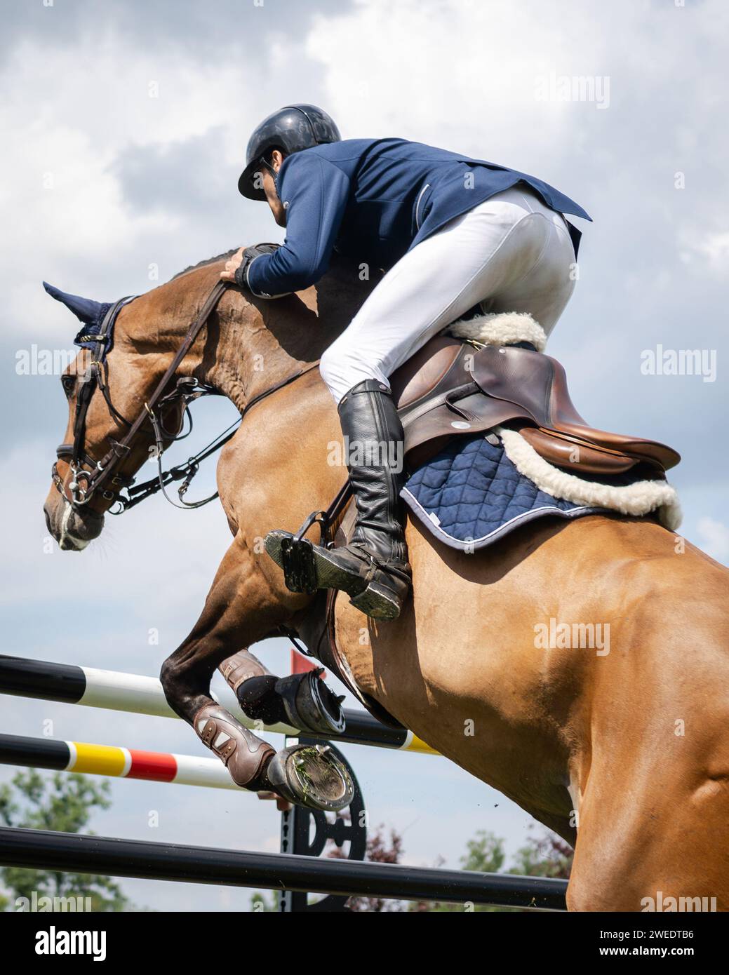 Equestrian Sports photo-themed: Horse jumping, Show Jumping, Horse ...