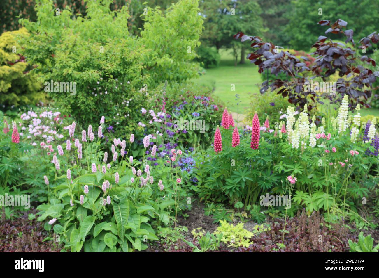 Countryside cottage garden with a bed of colourful flowers Stock Photo ...
