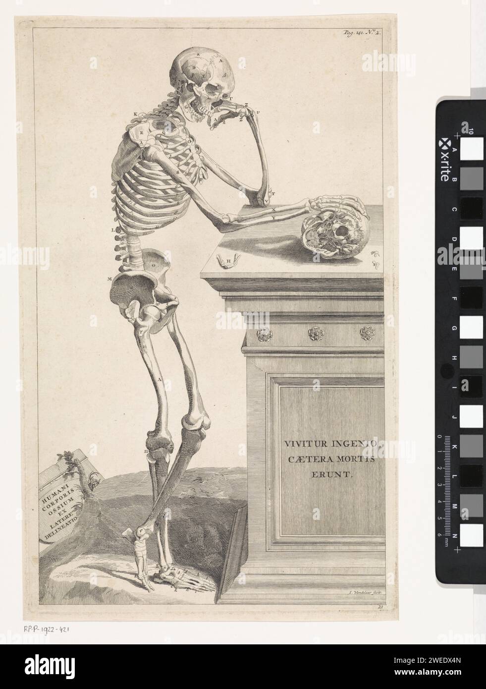 Skeleton next to Monument, Jan Wandelaar, 1725 print A human skeleton ...