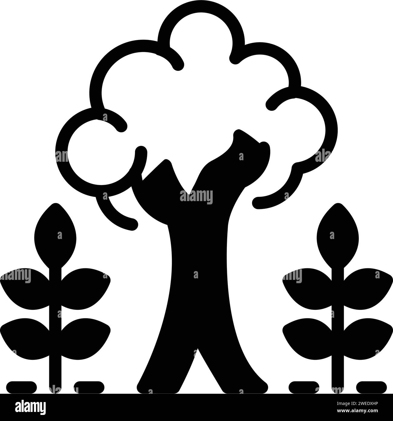 Maturity plant Stock Vector Images - Alamy
