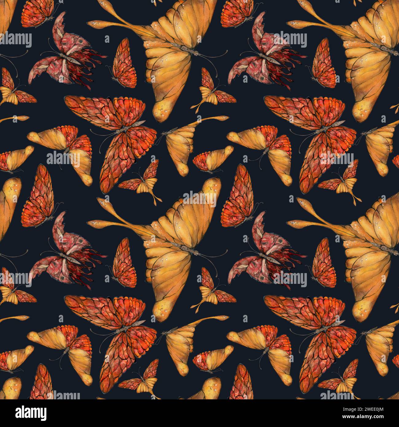 Hand drawn watercolor illustration butterfly fairy wings gem crystal ...