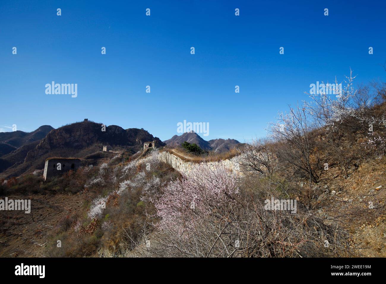 Apricot walls hi-res stock photography and images - Alamy