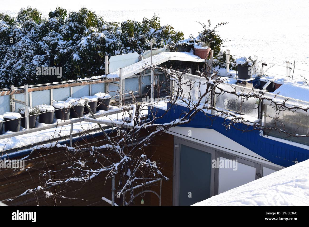 bird track on a snowy roof with bold vine Stock Photo - Alamy