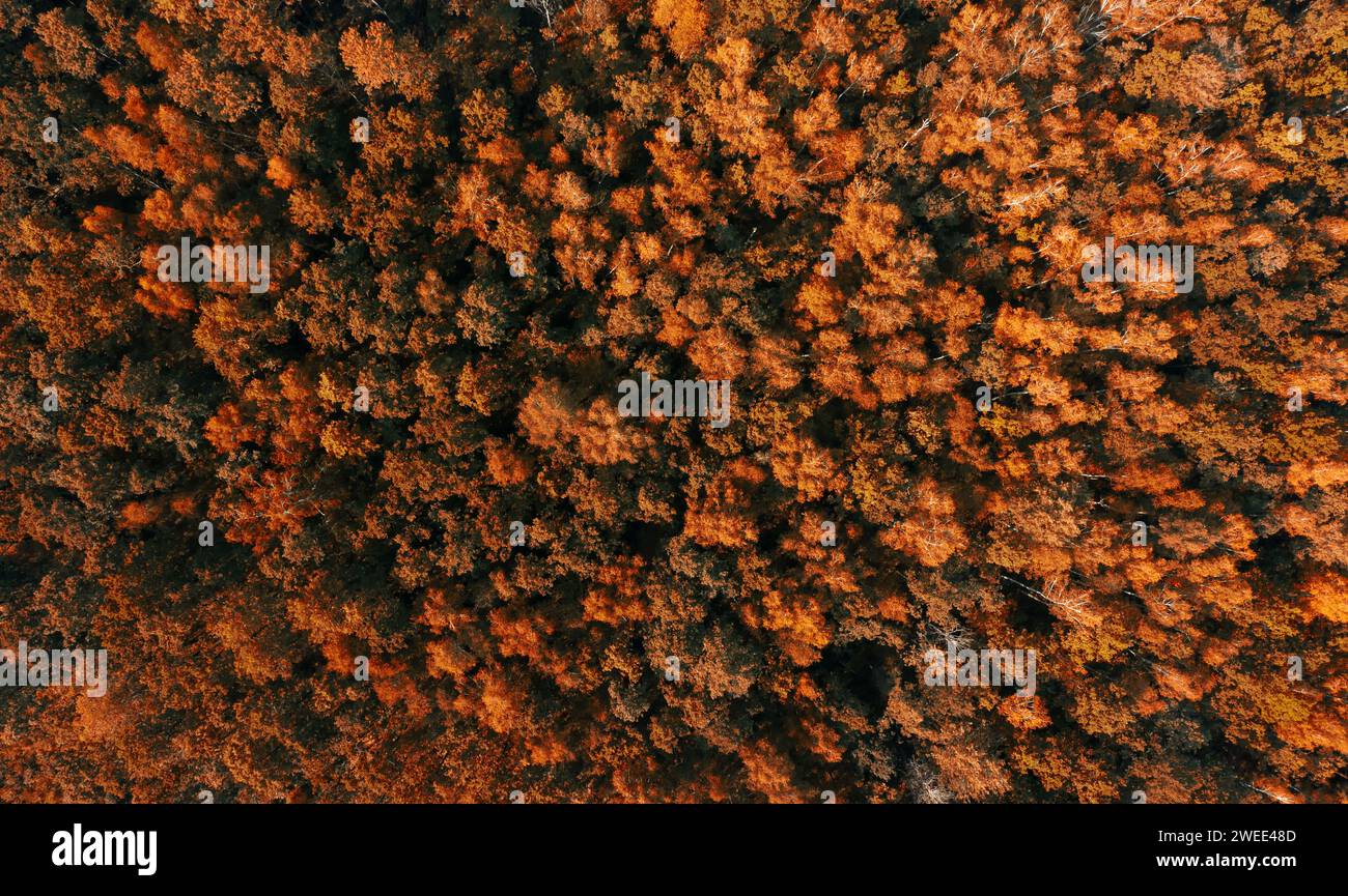 Drone magic hi-res stock photography and images - Alamy