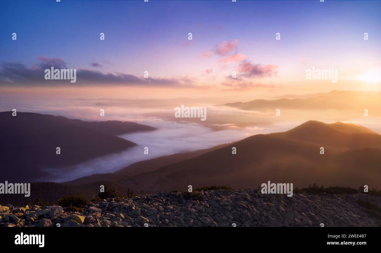 Foggy autumn forest sunrise dramatic hi-res stock photography and ...