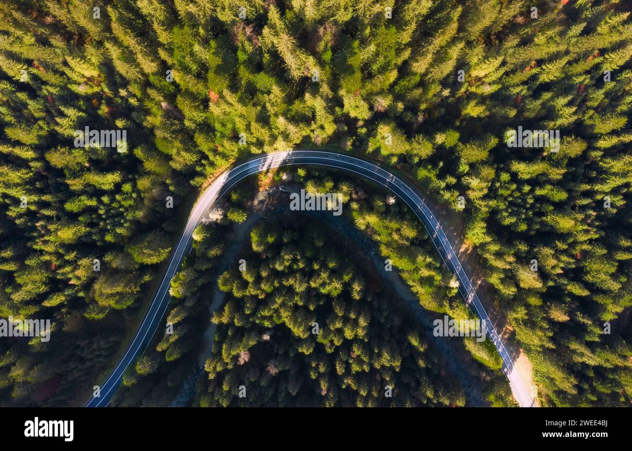Aerial view of the road in the forest from above. The road goes around ...