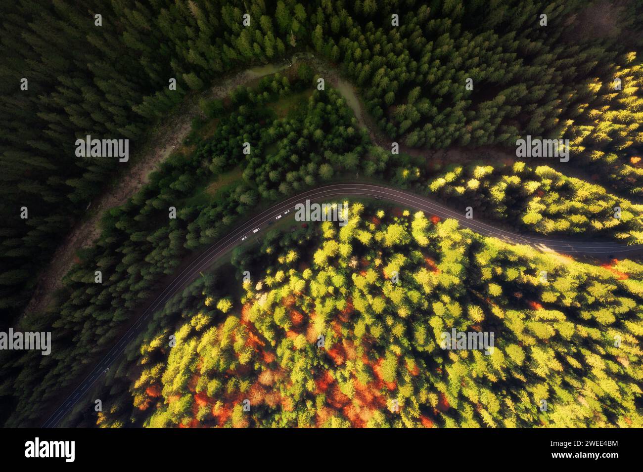 Mountain road in beautiful autumn forest at sunset. Aerial top view ...