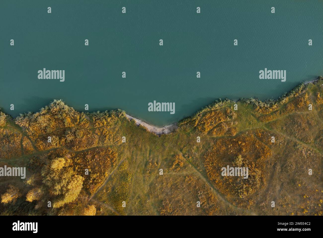 Top view of the lake shore. Nature concept Stock Photo - Alamy