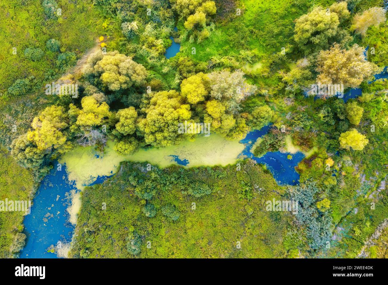 Meadow with trees and river from aerial top view. Beautiful natural ...