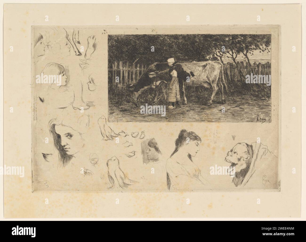 Farmer girl with two cows, Philip Zilcken, After Anton Mauve, After ...