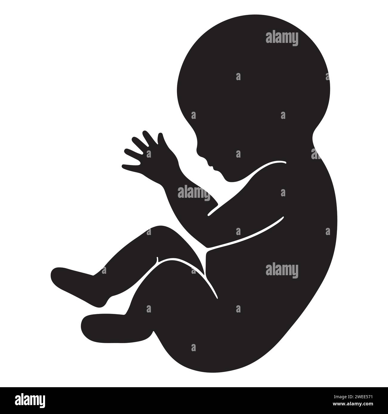 Fetus Icon. Human newborn and unborn baby silhouette. Miraculous ...