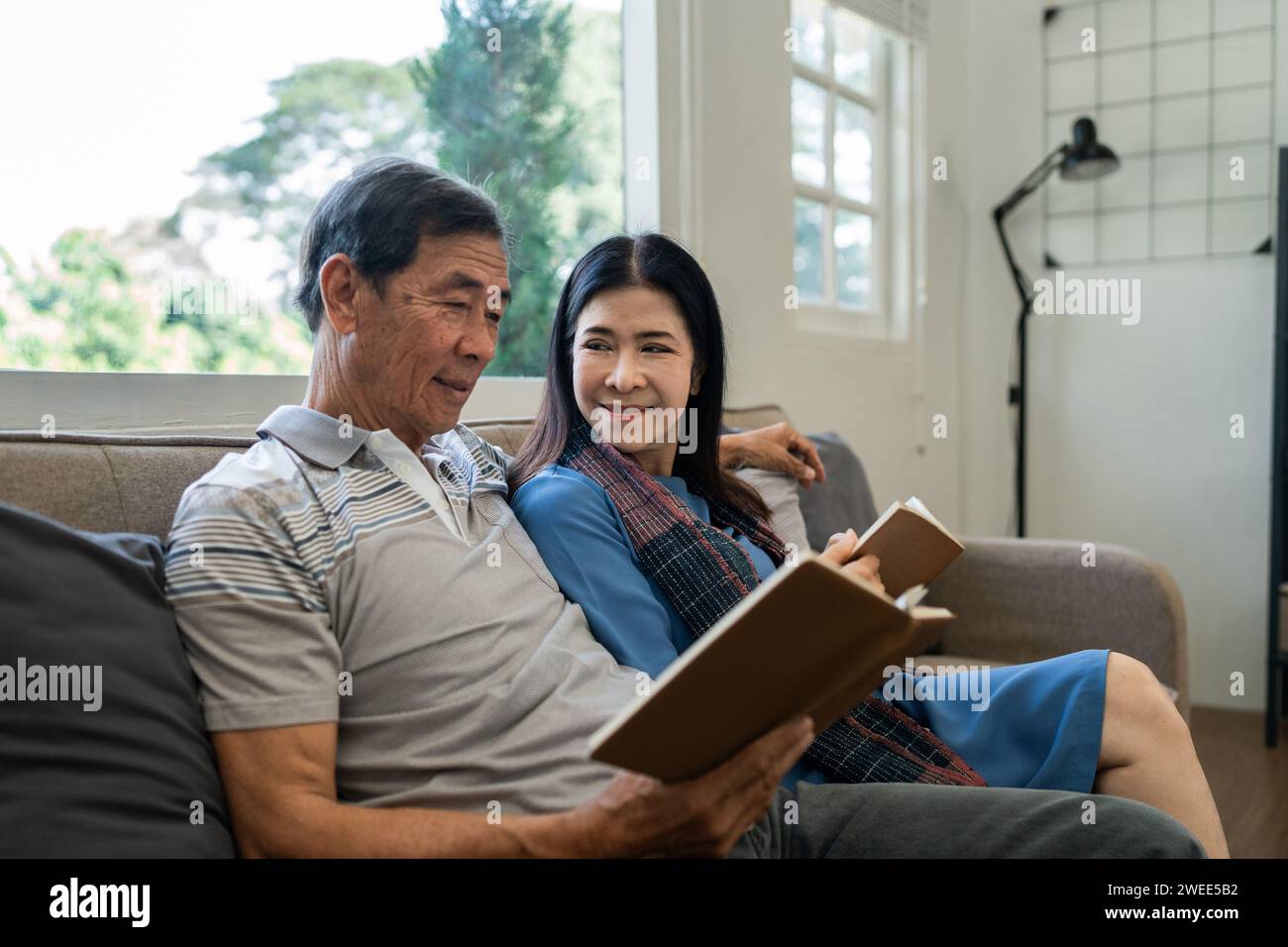 Retired elderly couple sits on couch in their home reading relaxing book. Senior Activity ...