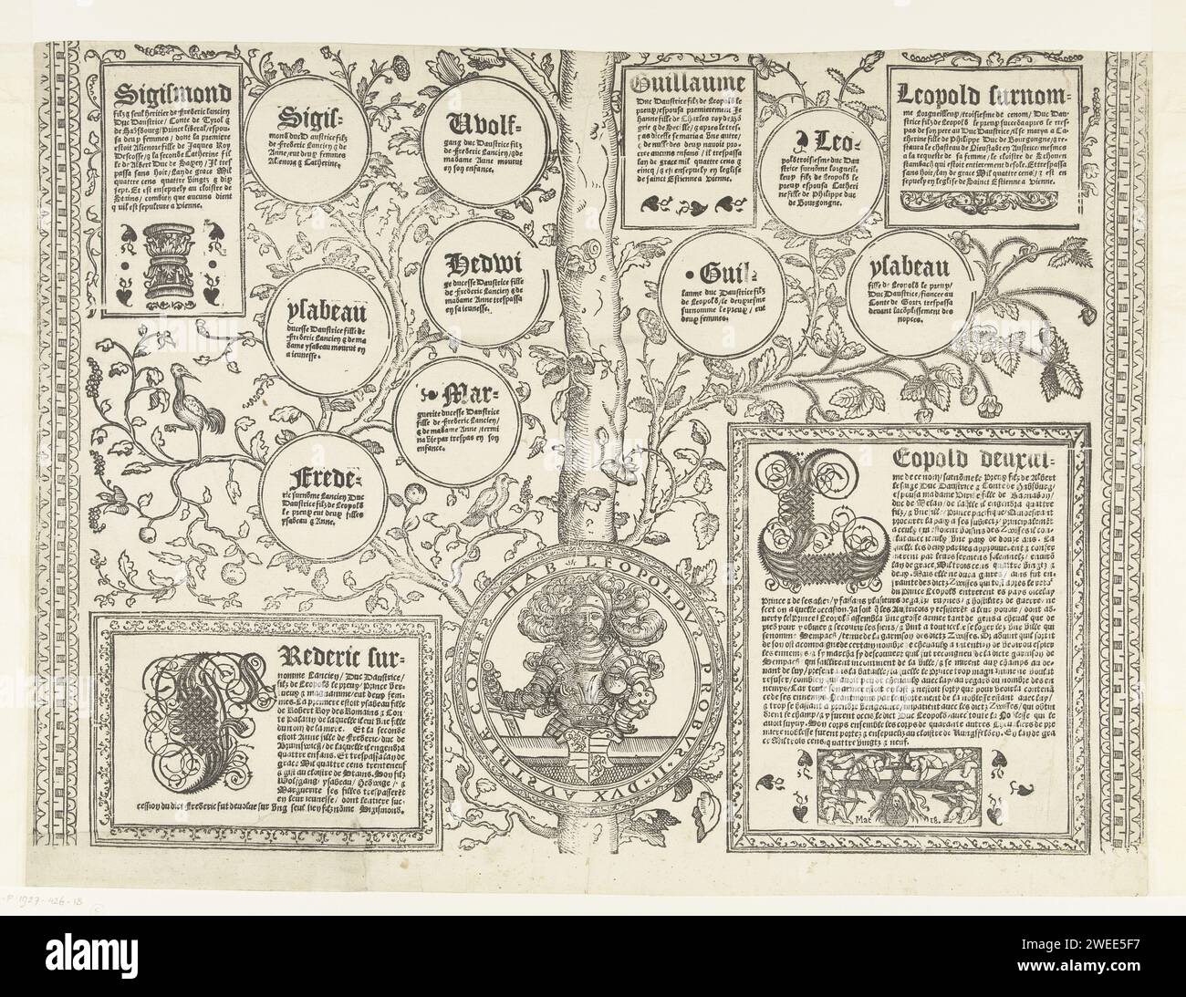 Family tree of the Habsburg house, page thirteen, Robert Péril, 1533 ...