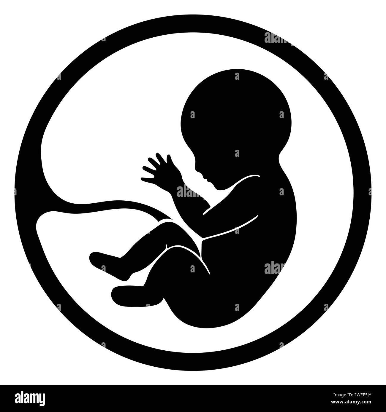 Fetus Icon. Human newborn and unborn baby silhouette. Miraculous ...