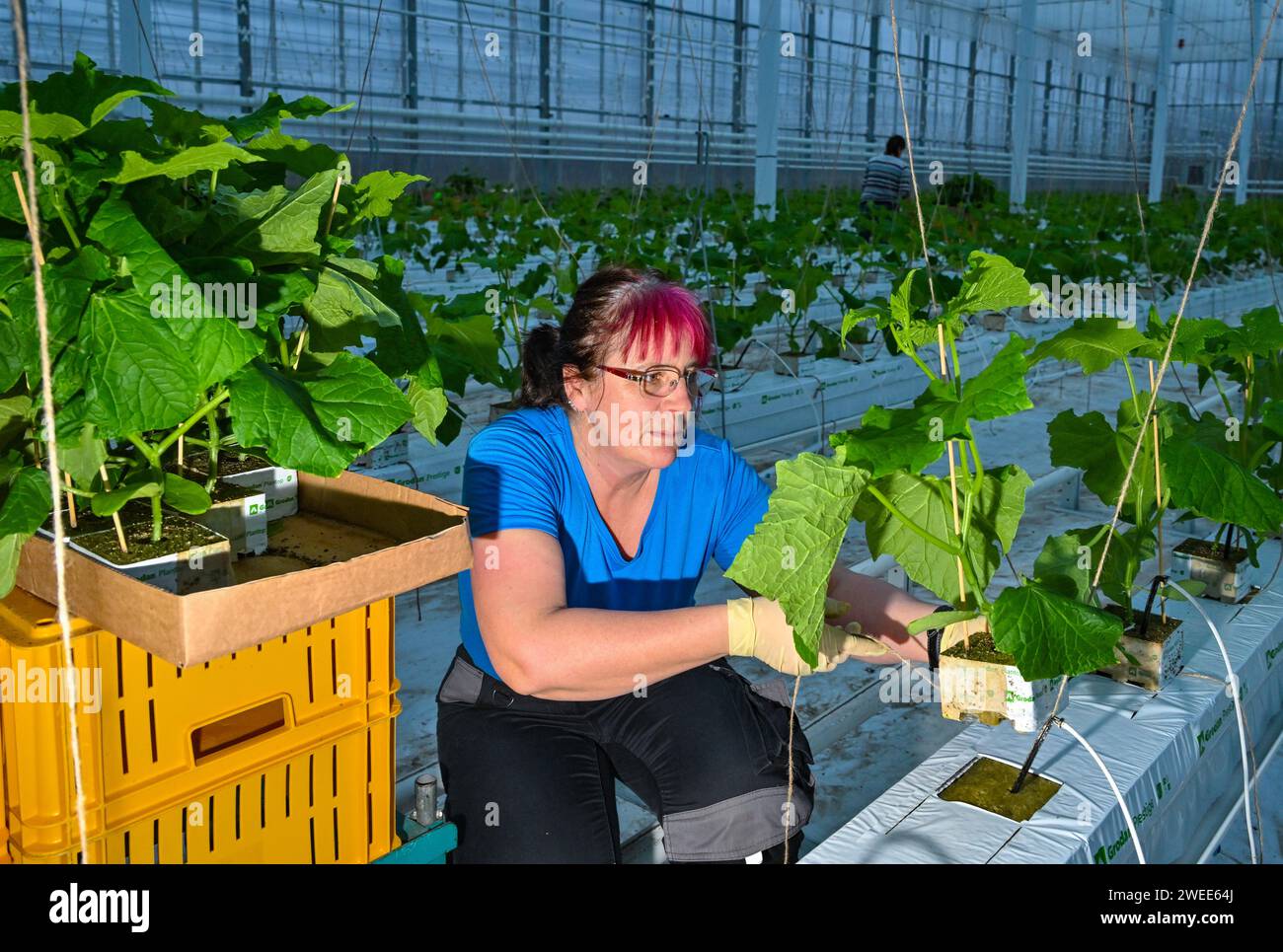 Jutta rohde hi-res stock photography and images - Alamy