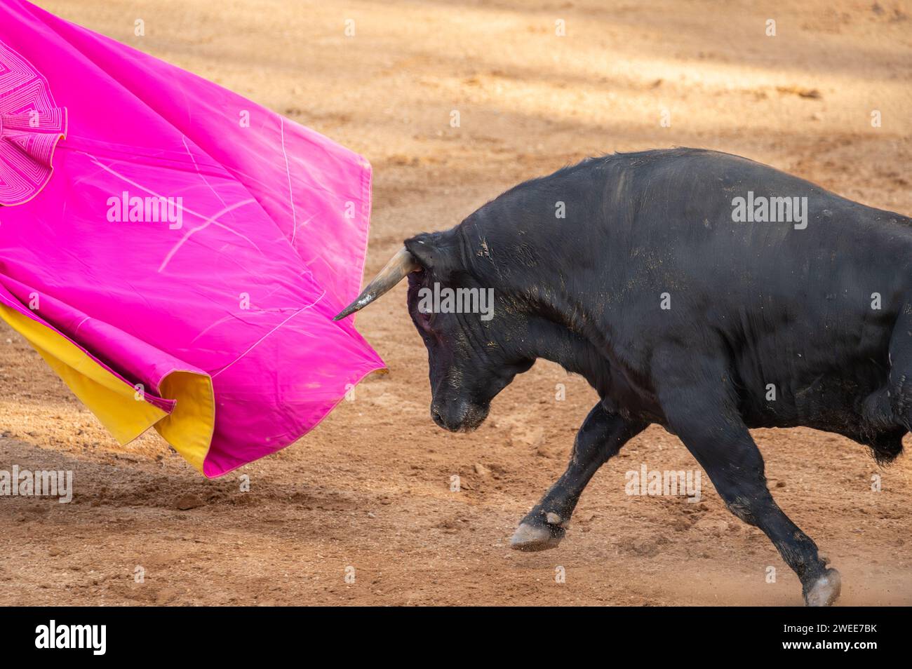 Death of the bullfighter hi-res stock photography and images - Alamy