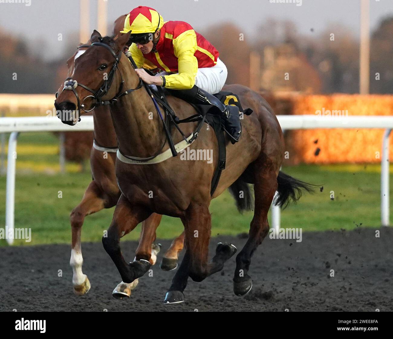 File photo dated 22-02-2023 of Just a Spark, who roared back to form on ...