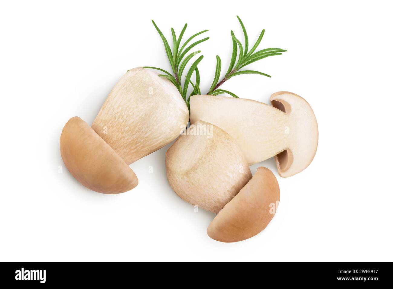Fresh porcini cep mushroom isolated on white background. Top view. Flat ...