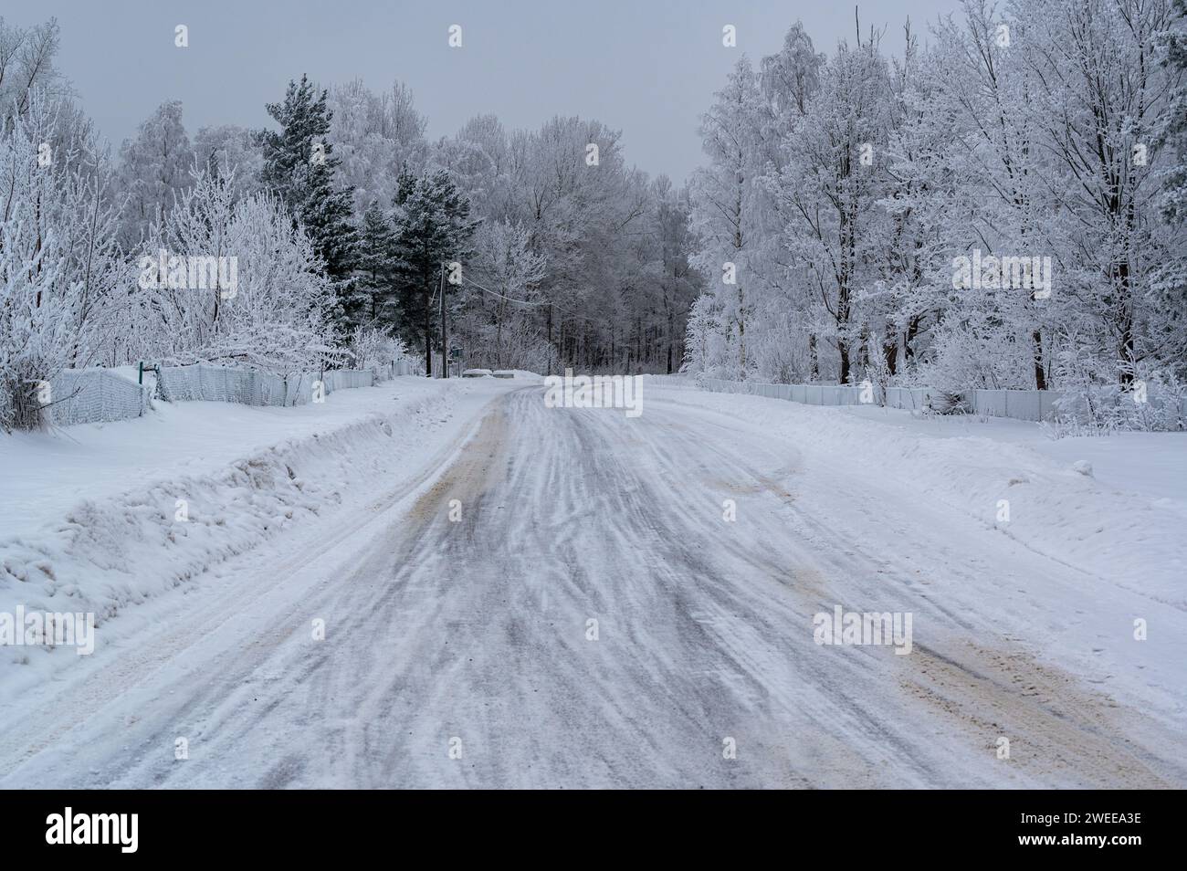 Winter road through forest with frozen trees Stock Photo - Alamy