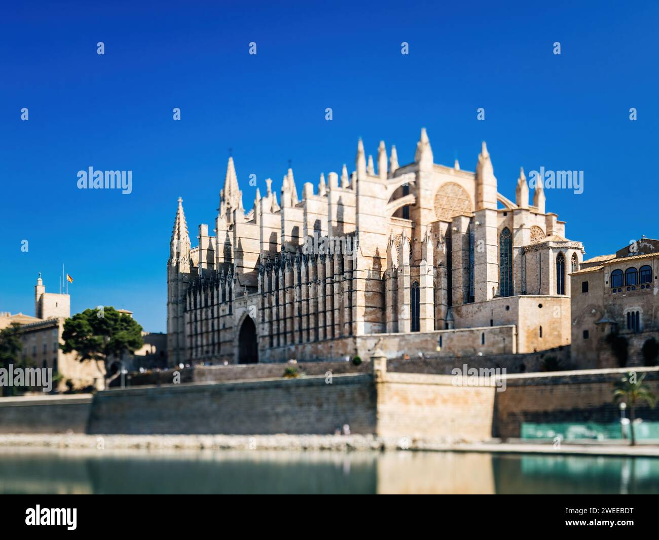 Catedral-Basilica de Santa Maria de Mallorca with large water ptoection ...