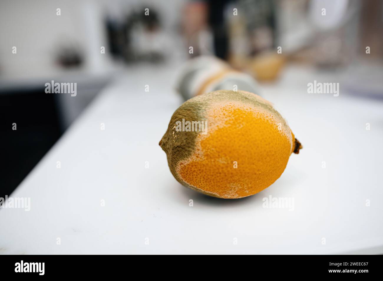 A moldy yellow lemon sits on a luxurious marble kitchen counter ...