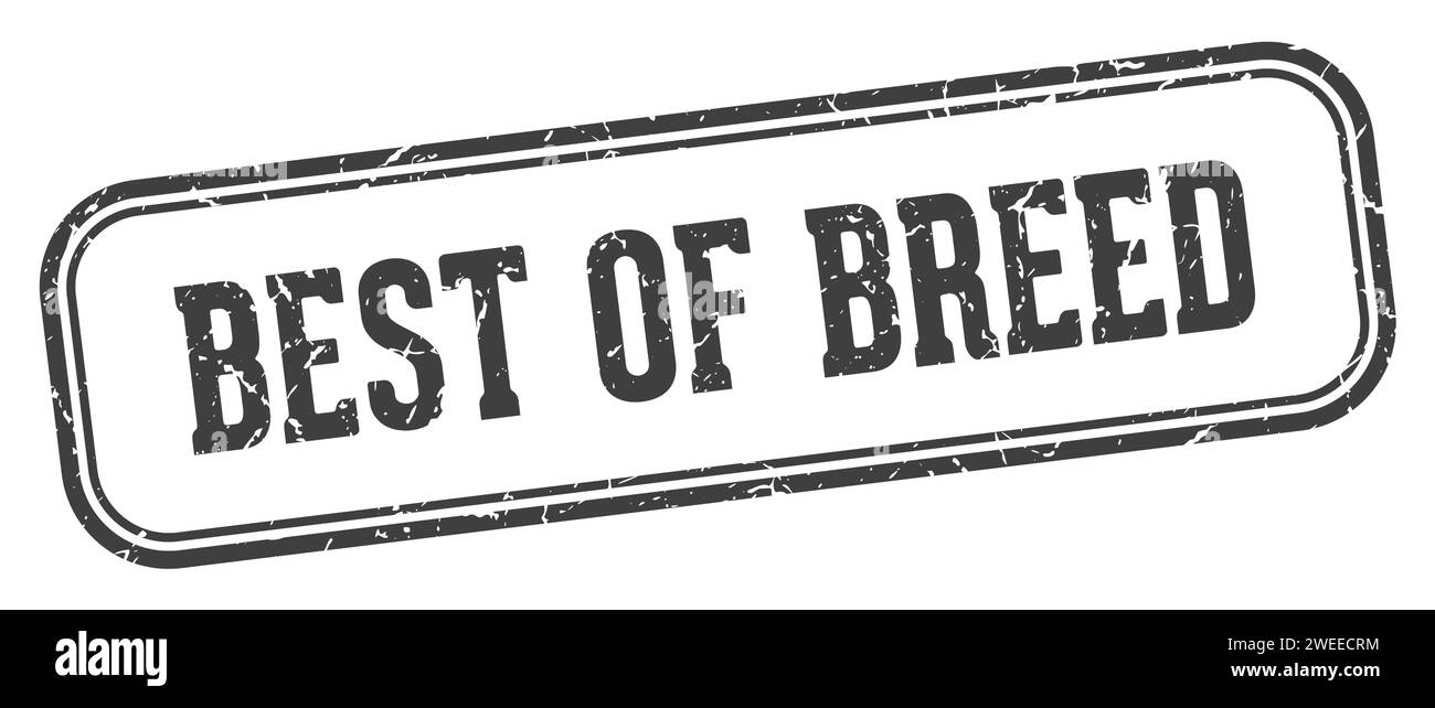 best of breed stamp. best of breed rectangular stamp isolated on white ...