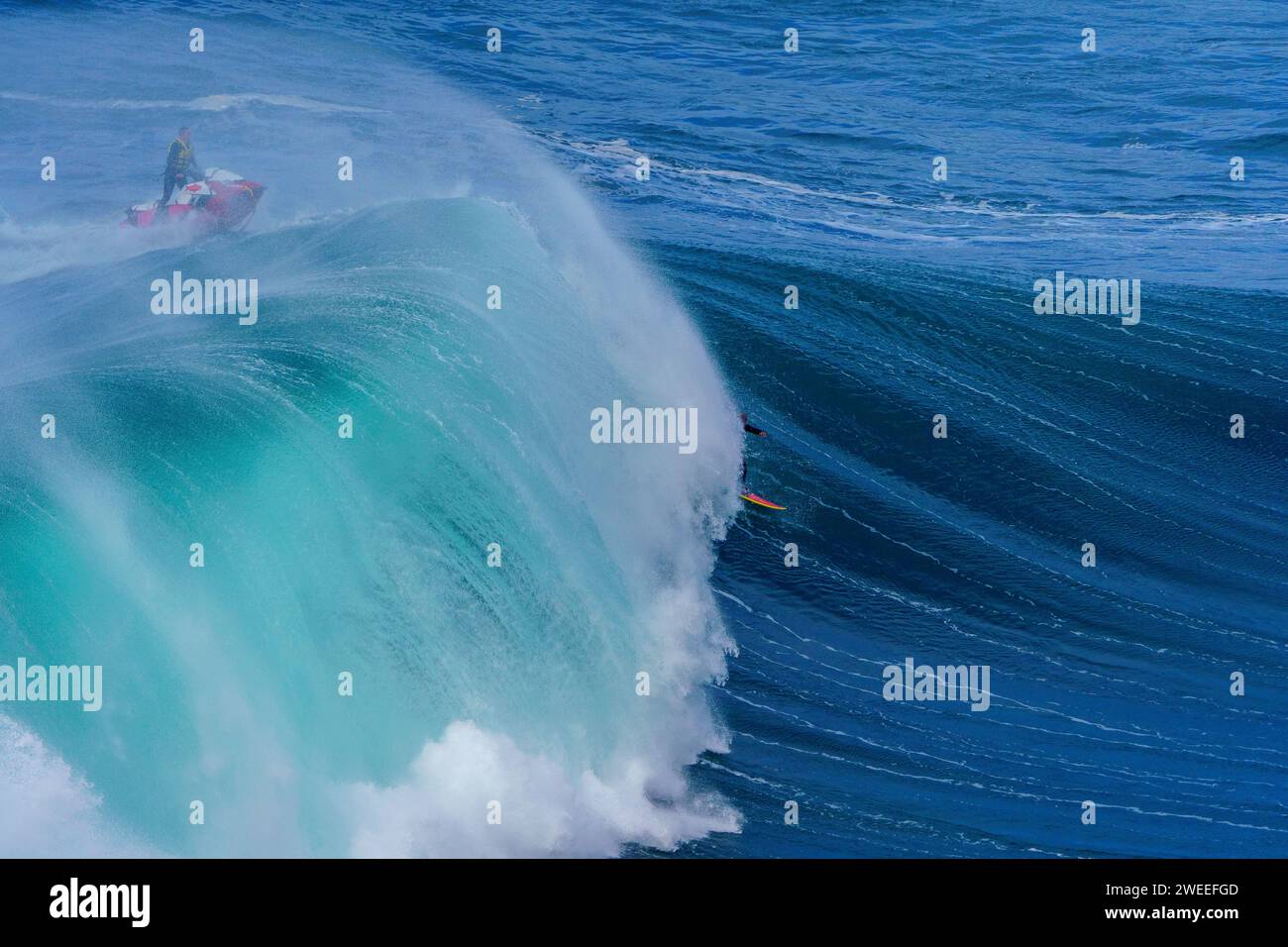 Surfing the wave in Nazarè (Portugal Stock Photo - Alamy