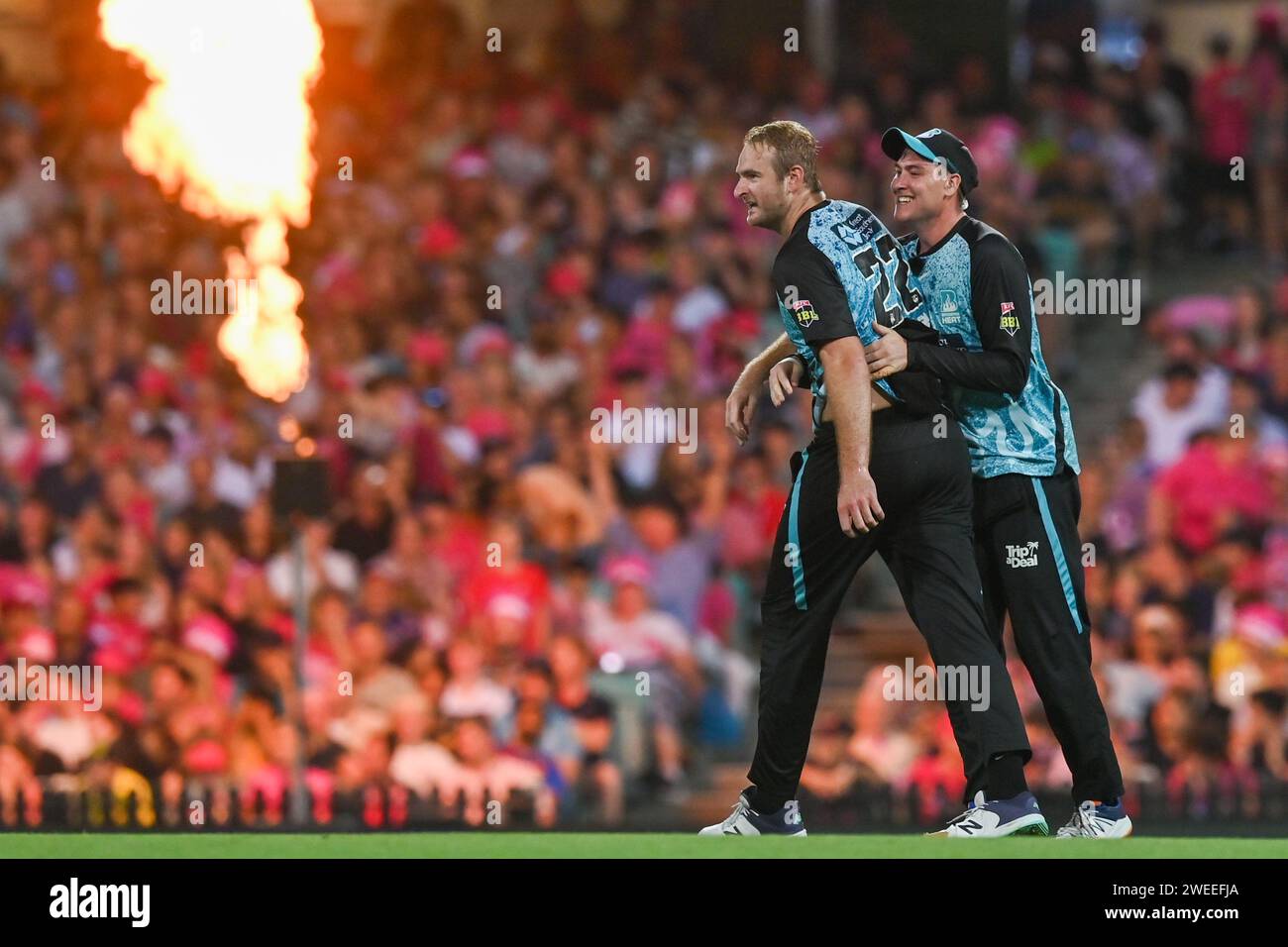 Cricket player moises henriques hi-res stock photography and images - Alamy