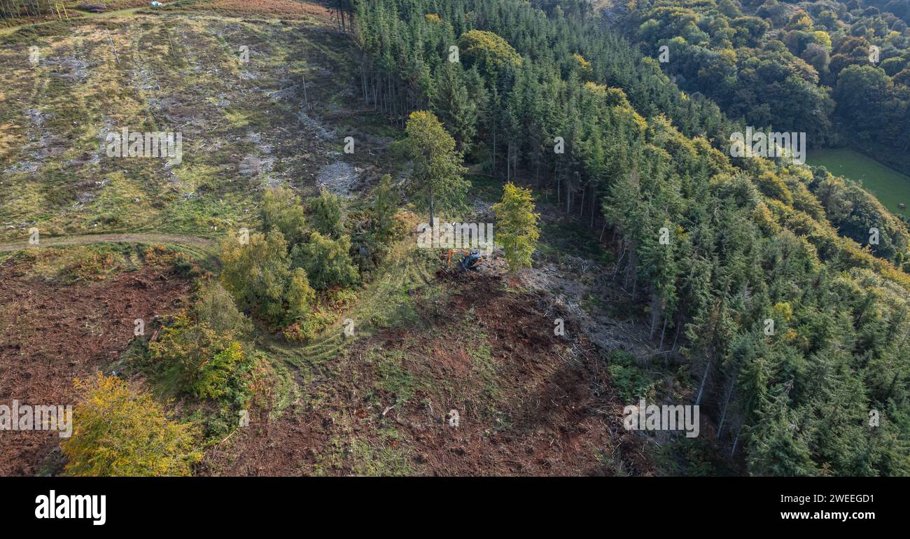 Expansive green forest landscape hi-res stock photography and images ...