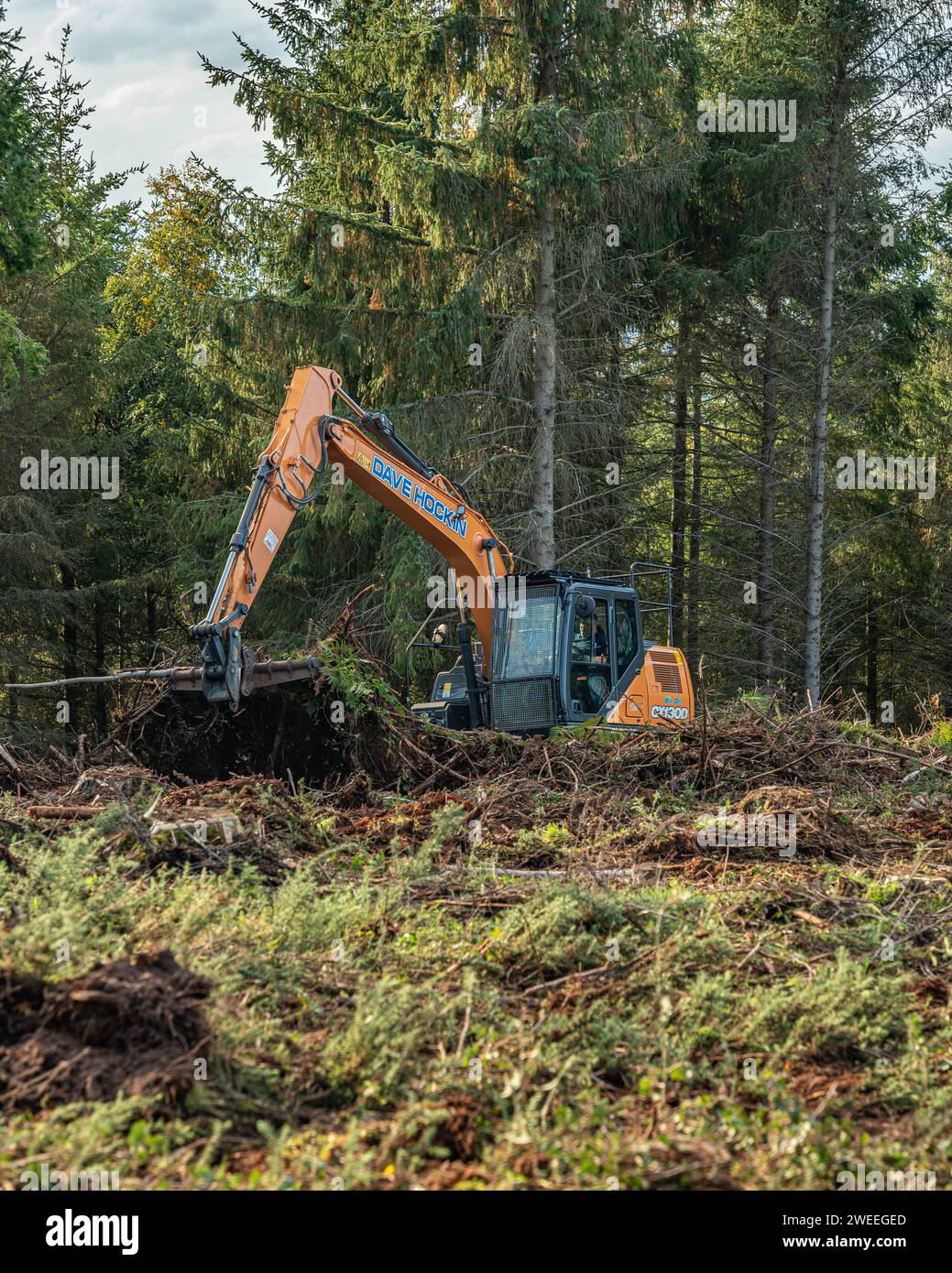 Excavator uprooting trees hi-res stock photography and images - Alamy