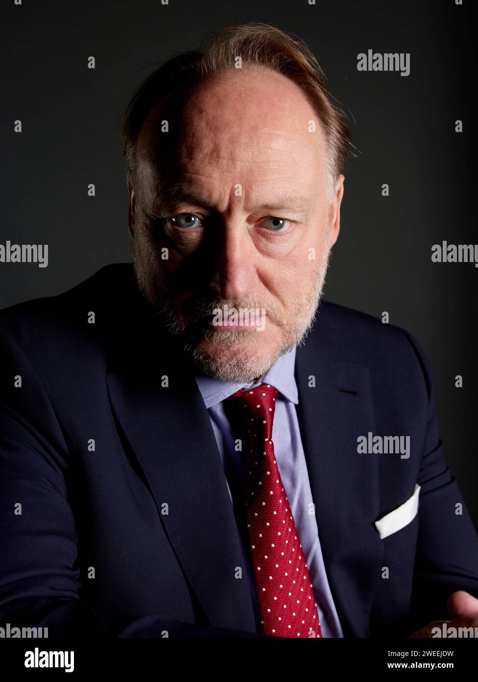 Andrew roberts historian hi-res stock photography and images - Alamy