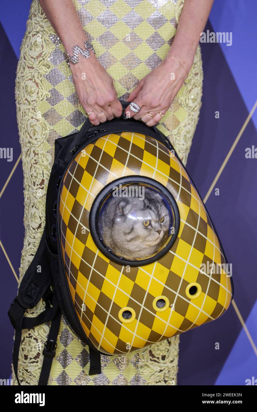 London, UK. 24th Jan, 2024. Chip the Cat attends the world premiere of ...