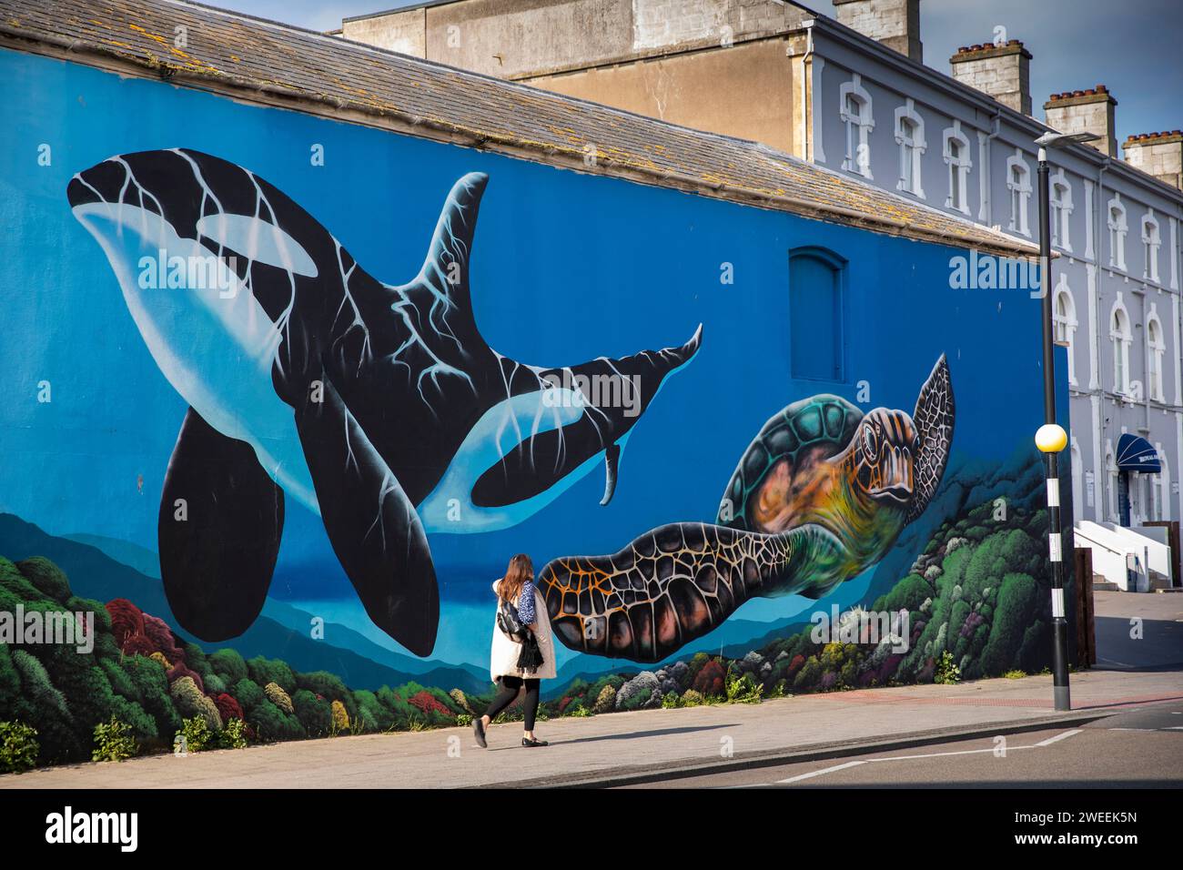 UK, England, Somerset, Weston-super-Mare, Knightstone Road, Orca and ...