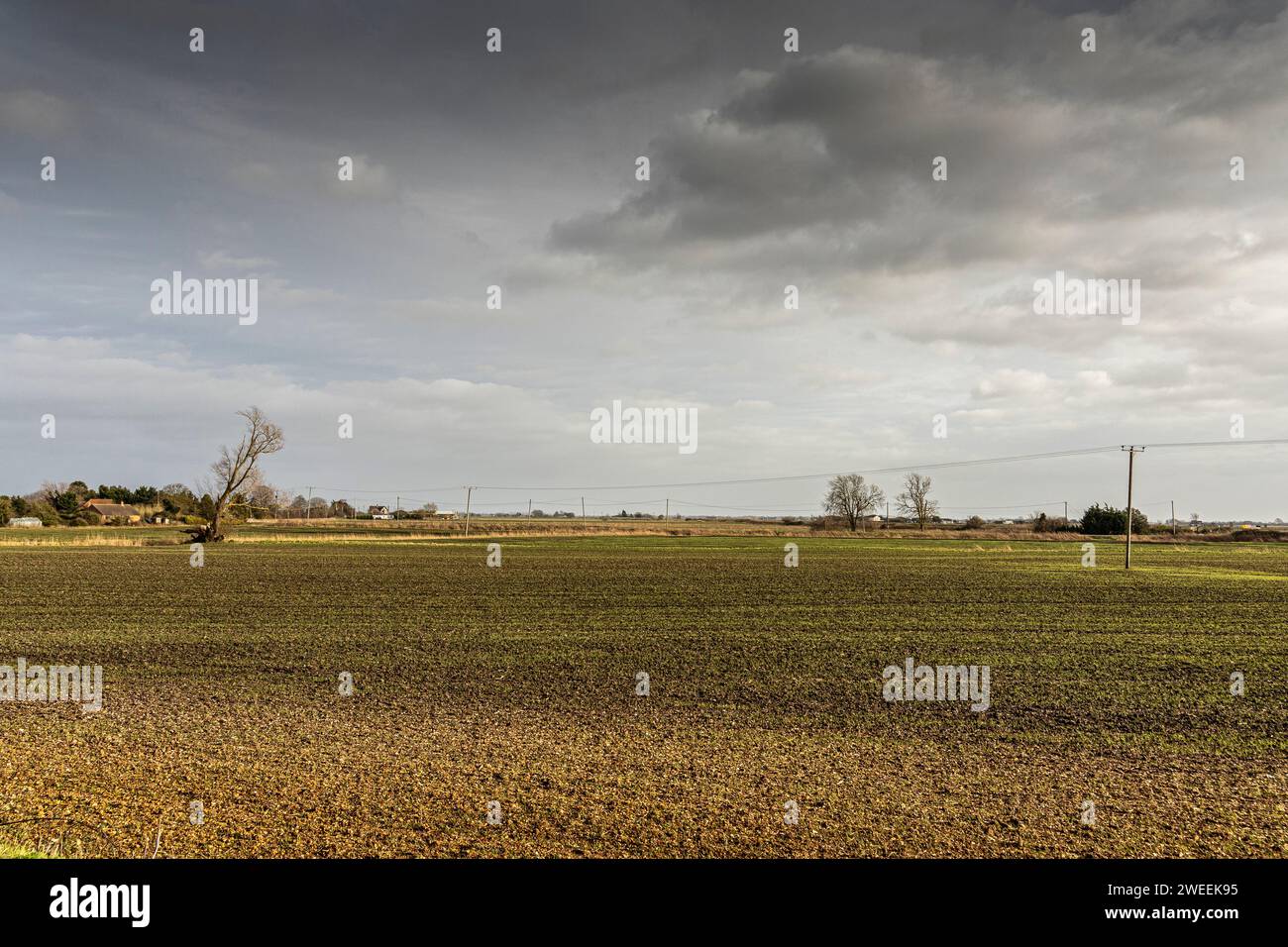 Fenland Landscapes in Cambridgeshire Stock Photo - Alamy