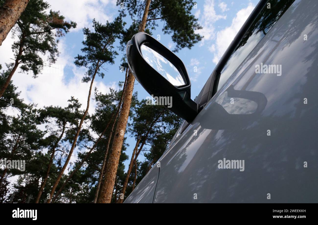 Bottom view of a car mirror in the middle of tall pines Stock Photo - Alamy