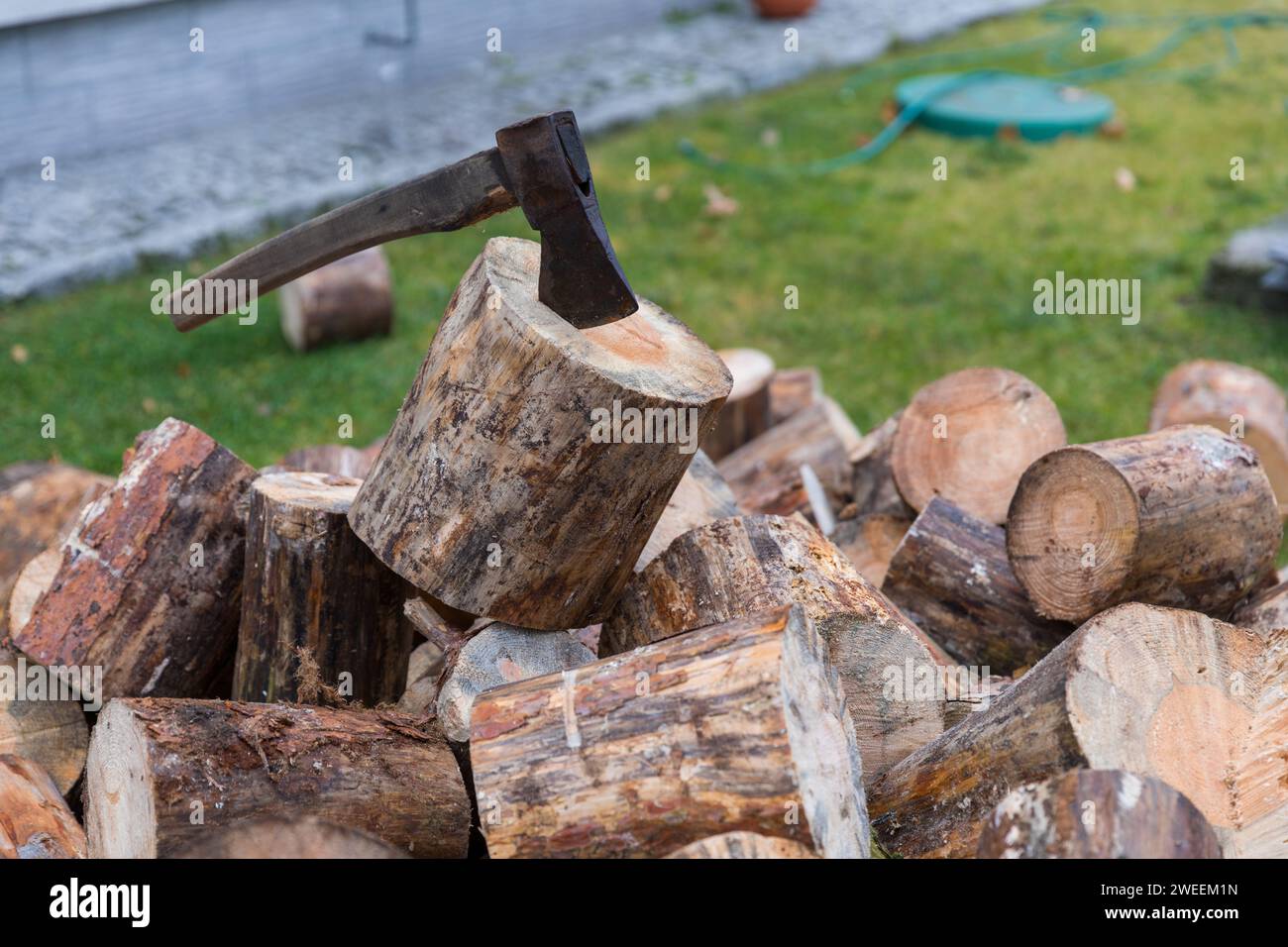 An ax for splitting firewood stuck into a stump for chopping wood Stock ...