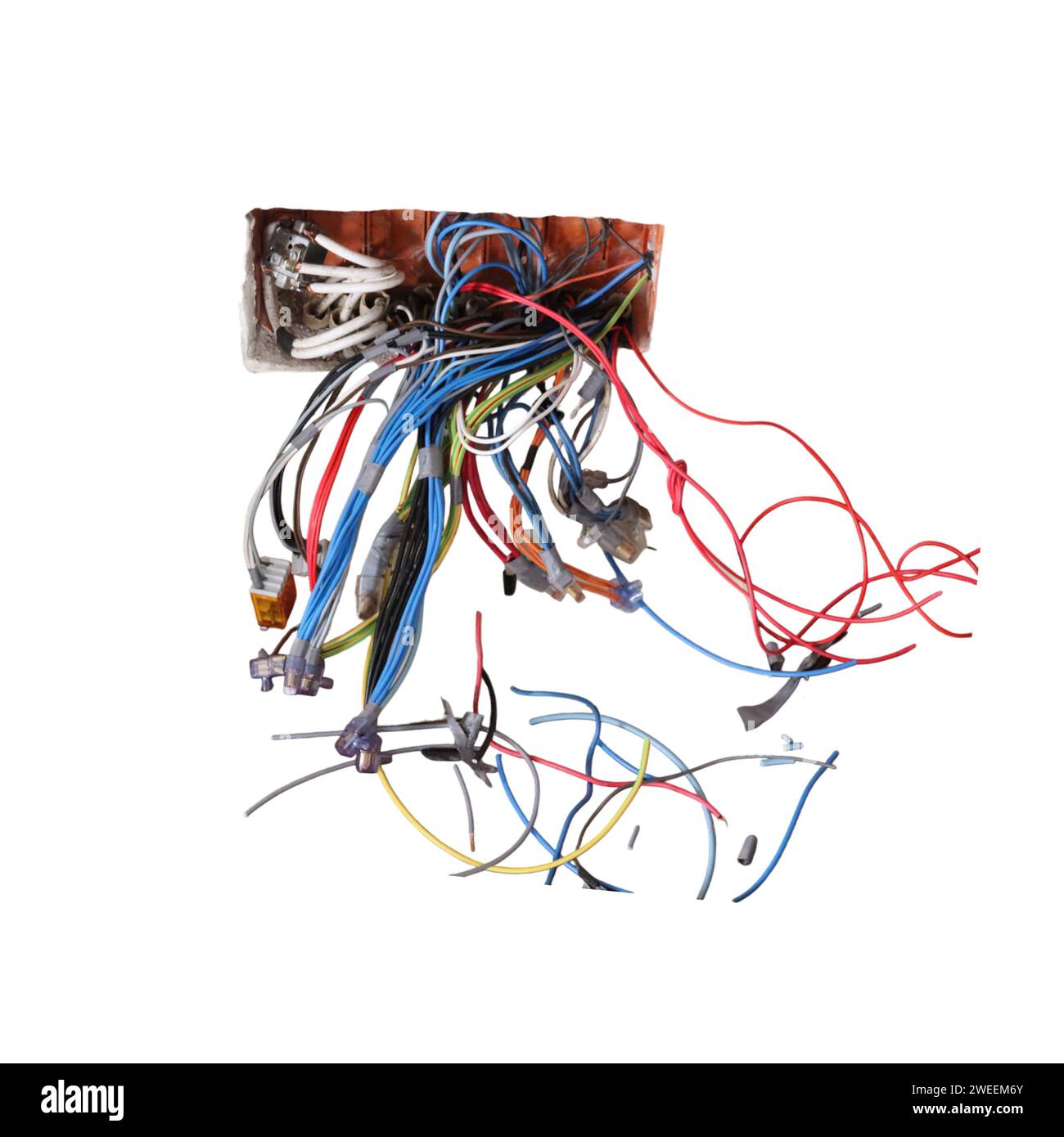 An array of electrical wires and components in a plastic container on a ...